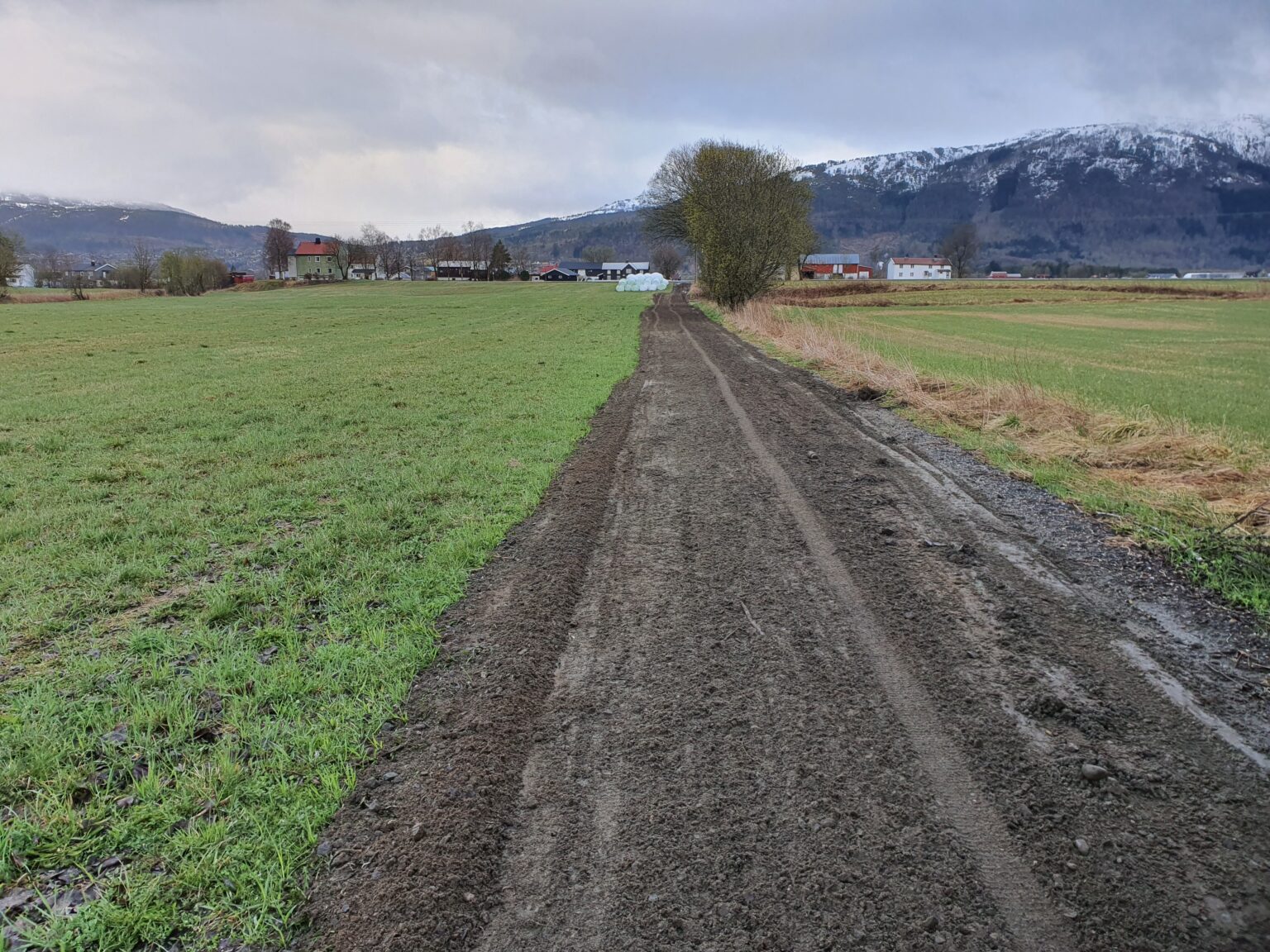 Veiskrape A16 - Roald Moen AS